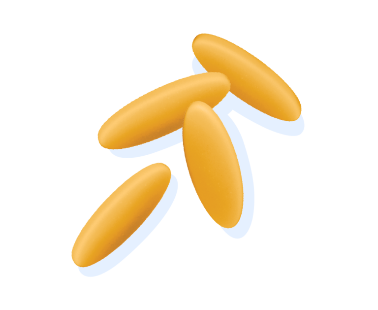 Orzo | Ronzoni® | Orzo Pasta